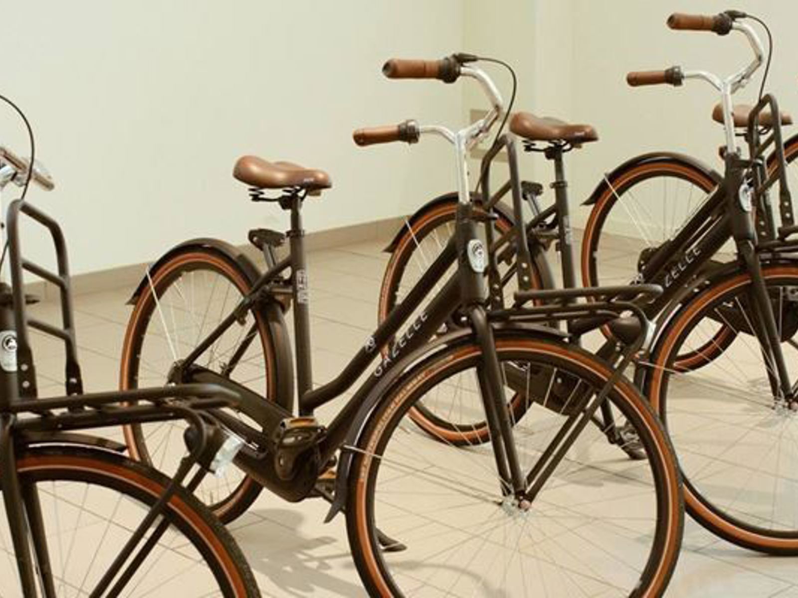 Maatschappelijke betrokkenheid nieuws | Amega